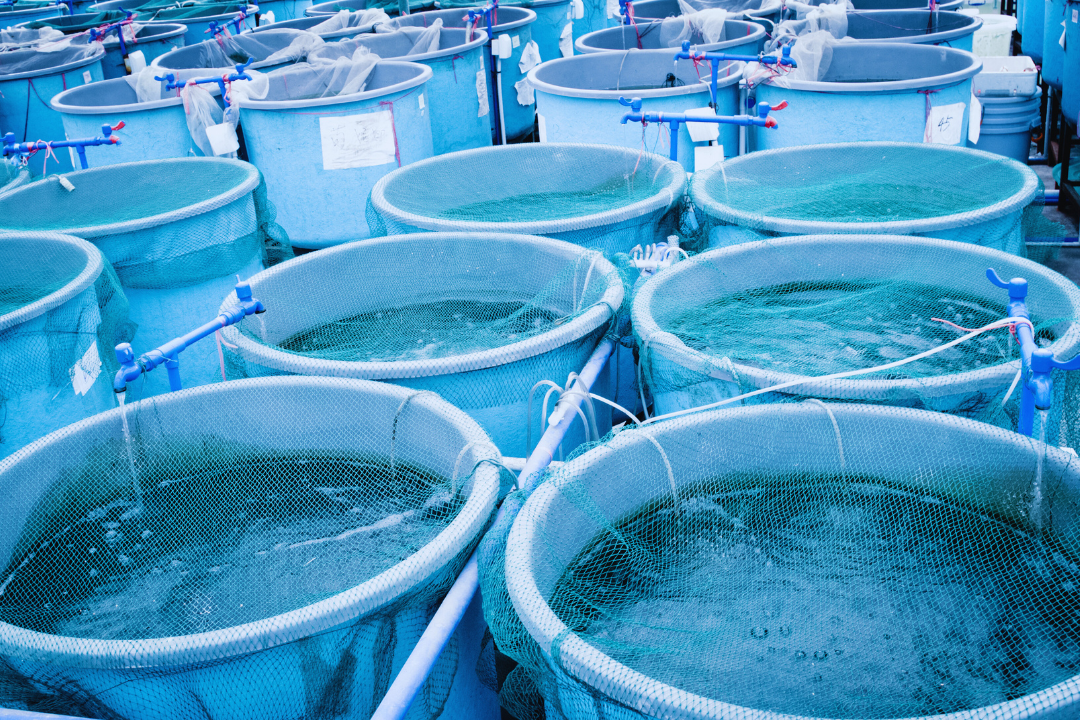 Fluid Dynamics Industrial Applications